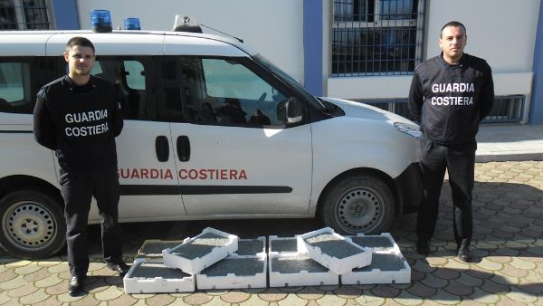 Sequestrati a Corigliano 60 chili di bianchetto, donati in beneficenza ... Sequestrati a Corigliano 60 chili di bianchetto, donati in beneficenza ...
