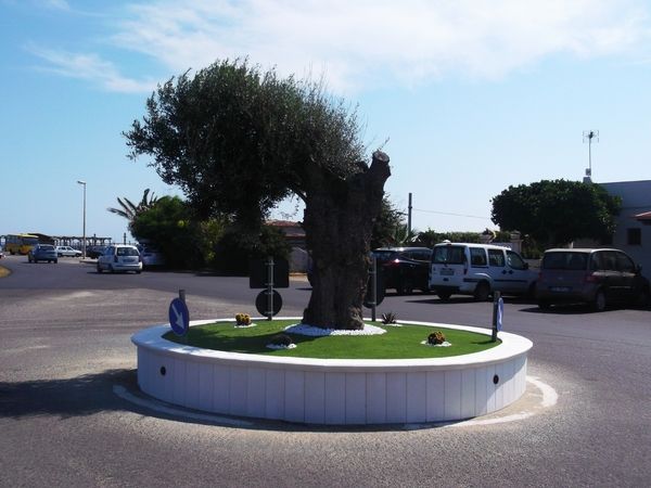 Ciro’ Marina, Citta’ Pulita completa la rotonda stradale di Torrenova ...