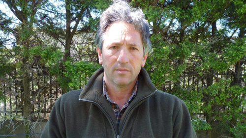 Inanellato per la prima volta dall’esperto Mario Pucci il raro ...