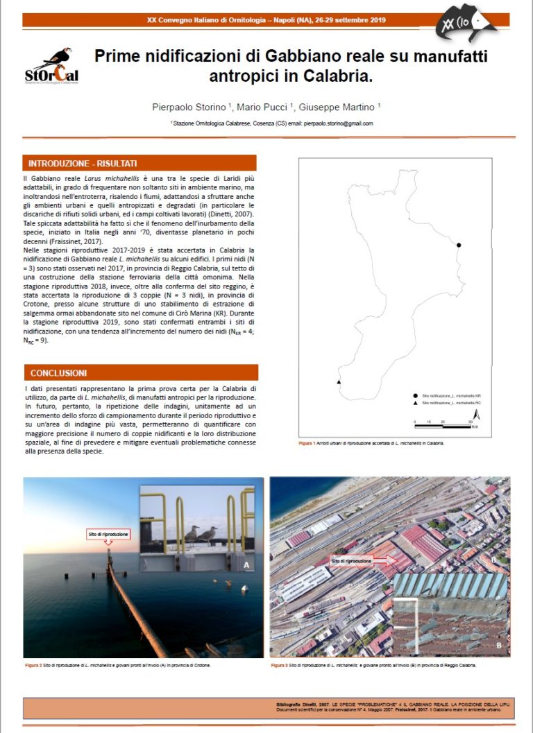 L’ornitologo Mario Pucci presenta due nuove scoperte al XX Convegno ...