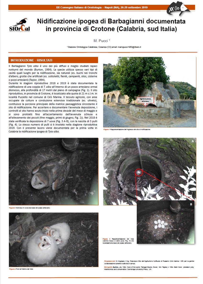 L’ornitologo Mario Pucci presenta due nuove scoperte al XX Convegno ...