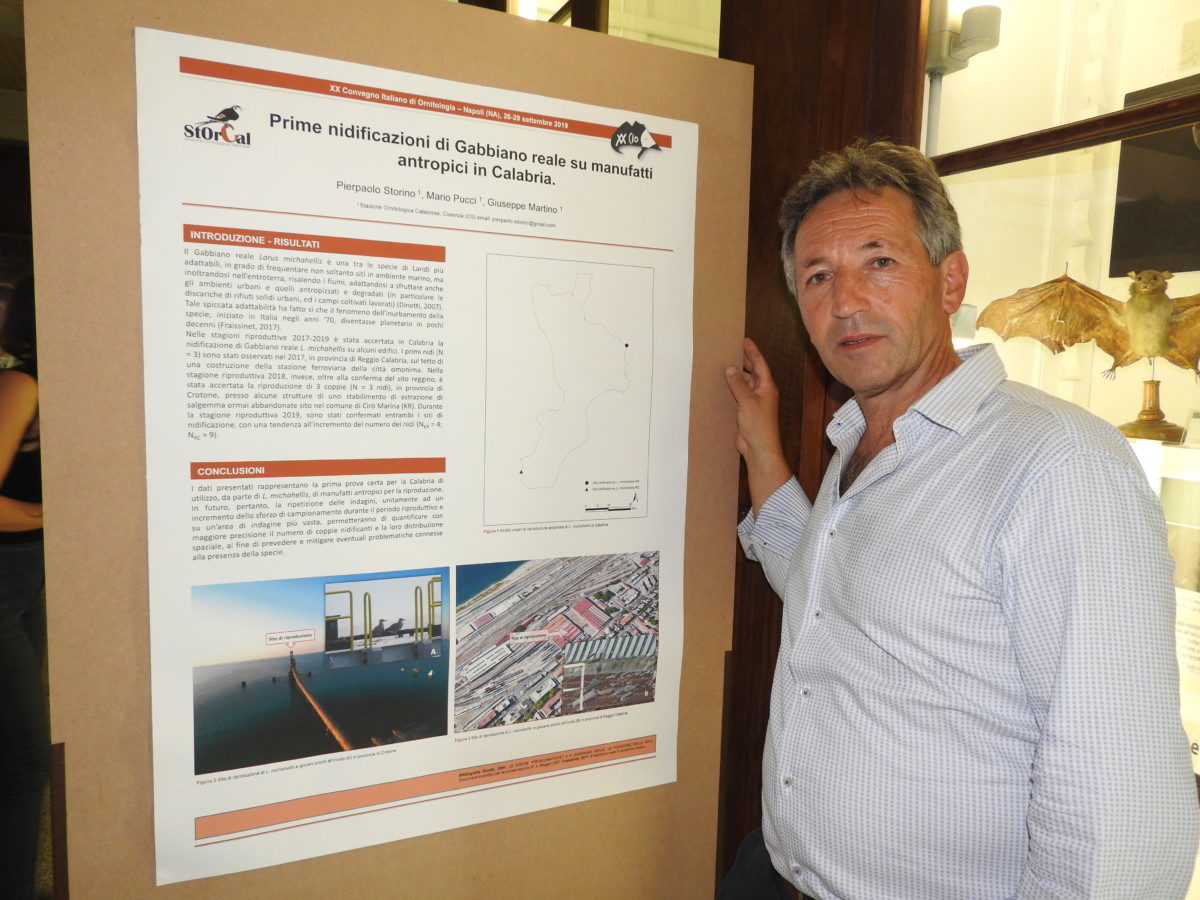 L’ornitologo Mario Pucci presenta due nuove scoperte al XX Convegno ...