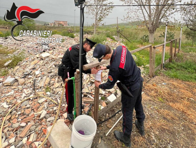 Crotone, rifiuti edili su area privata: scatta il sequestro dei Carabinieri - ilCirotano
