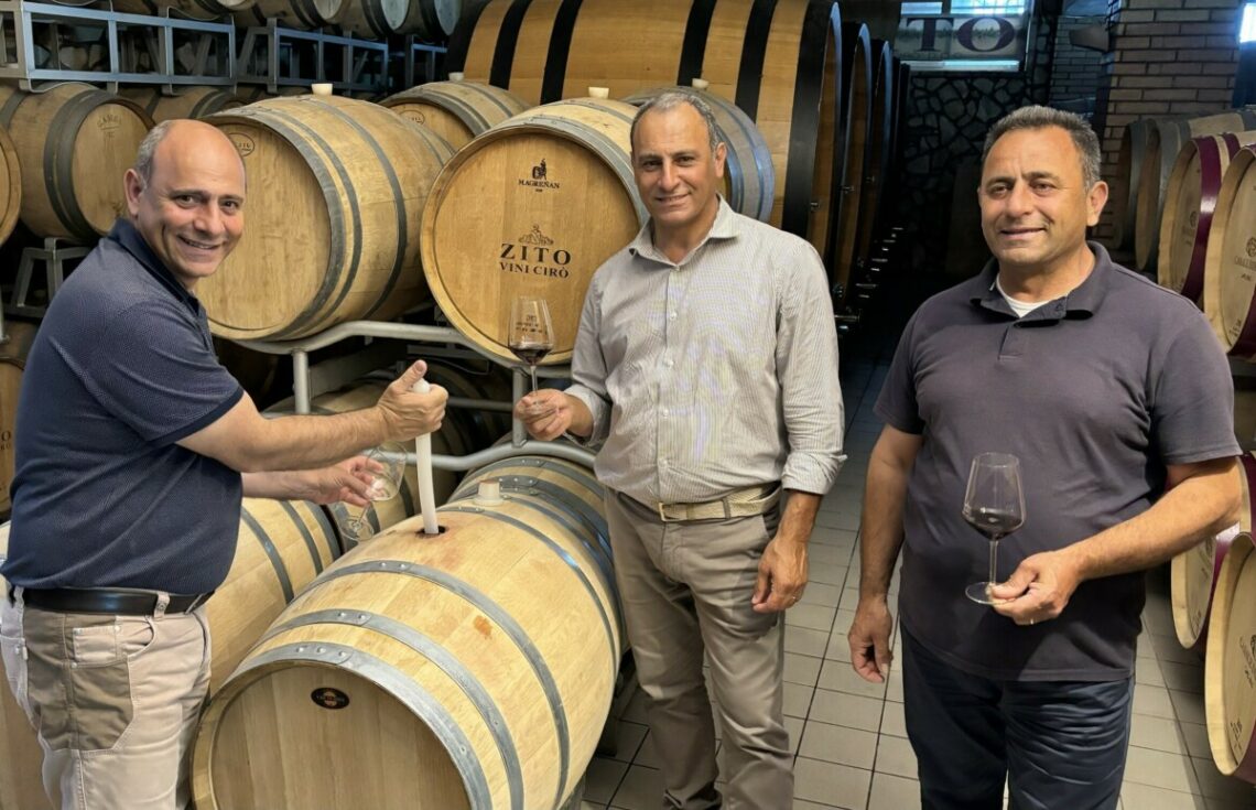 Alceo 2017: il Cirò Doc che unisce forza, coraggio e tradizione nella ...